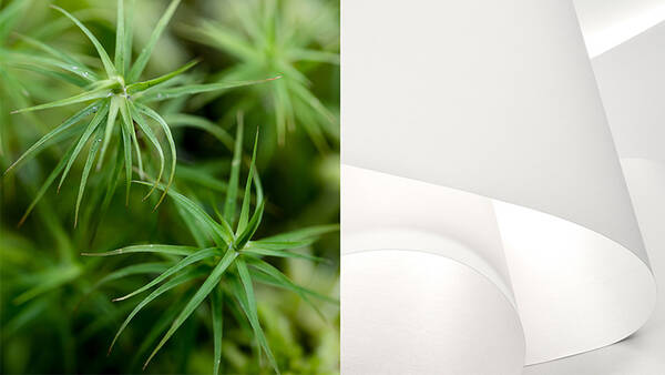 UPM Raflatac showcases its latest innovations for more sustainable ...